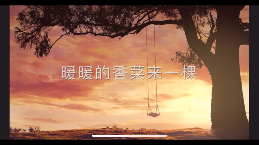 数学几何中的“手拉手”模型动态图:每一种形态#几何画板
