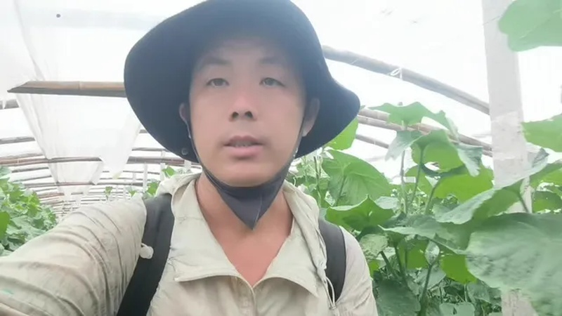 现在的农药无残留,药效低,连小小虫子都打不死,真是有机农产品