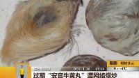 过期安宫牛黄丸遭网络爆炒 110326 第一时间