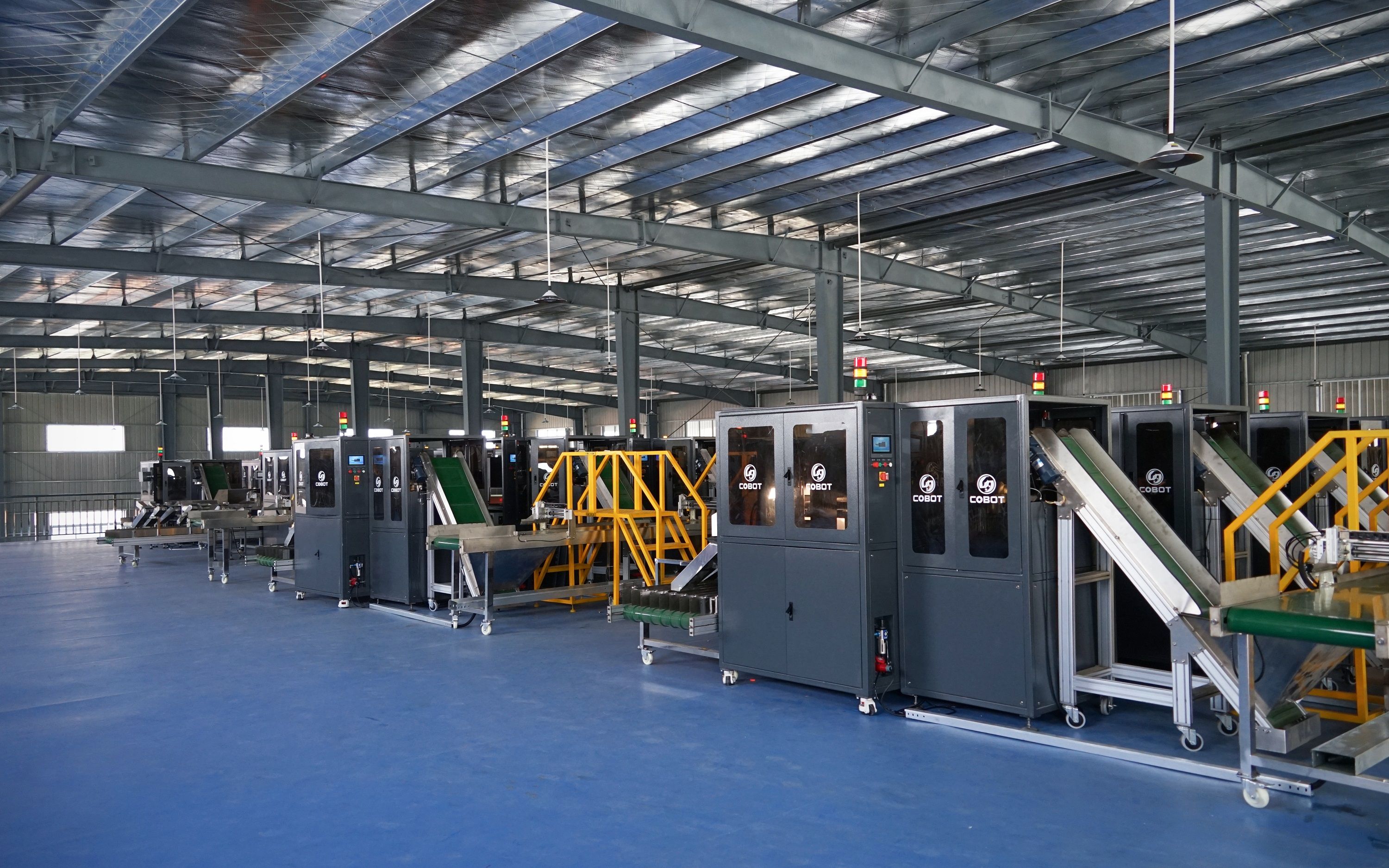 ...的香菇都是这样被拣选出来的——库柏特自研国内最强大香菇分拣线