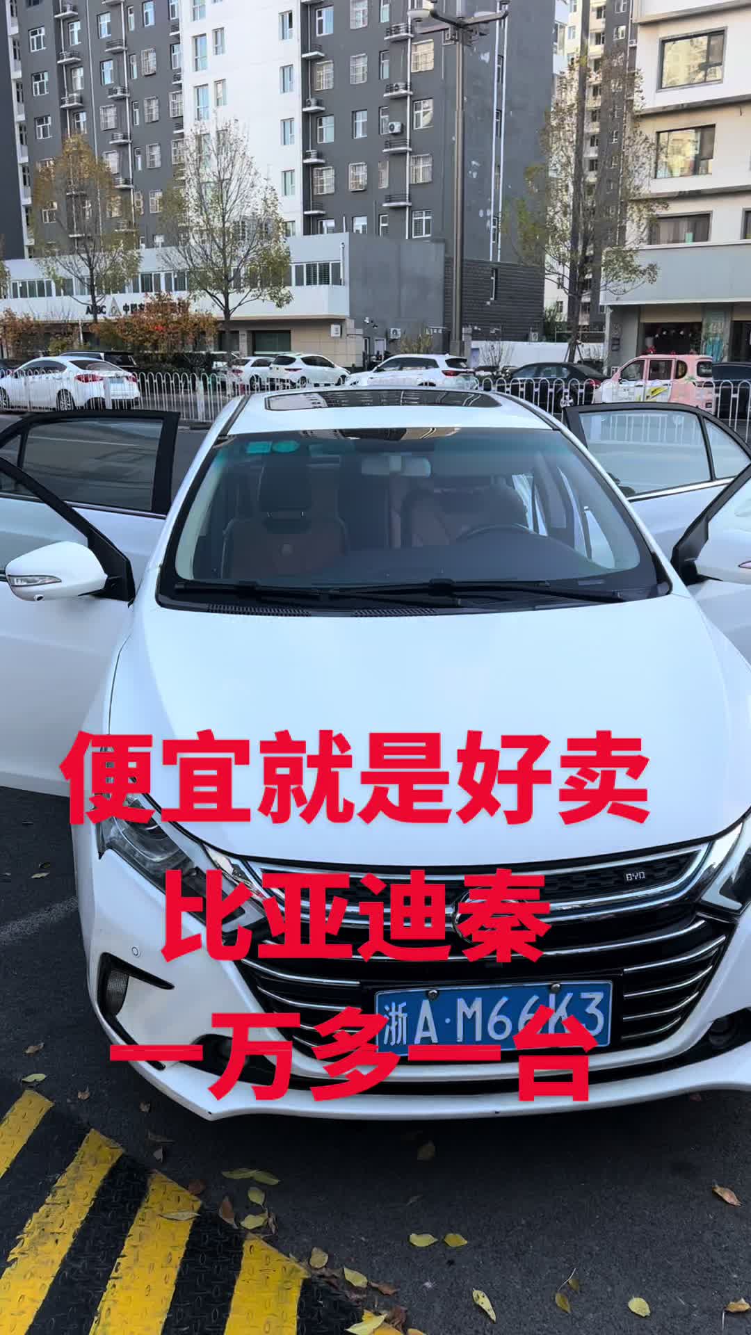 油电混 #比亚迪 #二手车 #练手代步车 #油电混合 #汽车