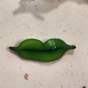 拉布普拉夫斯基 