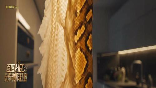 惊!橱柜惊现诡异羊皮纸,真身竟是巨蟒蜕皮?