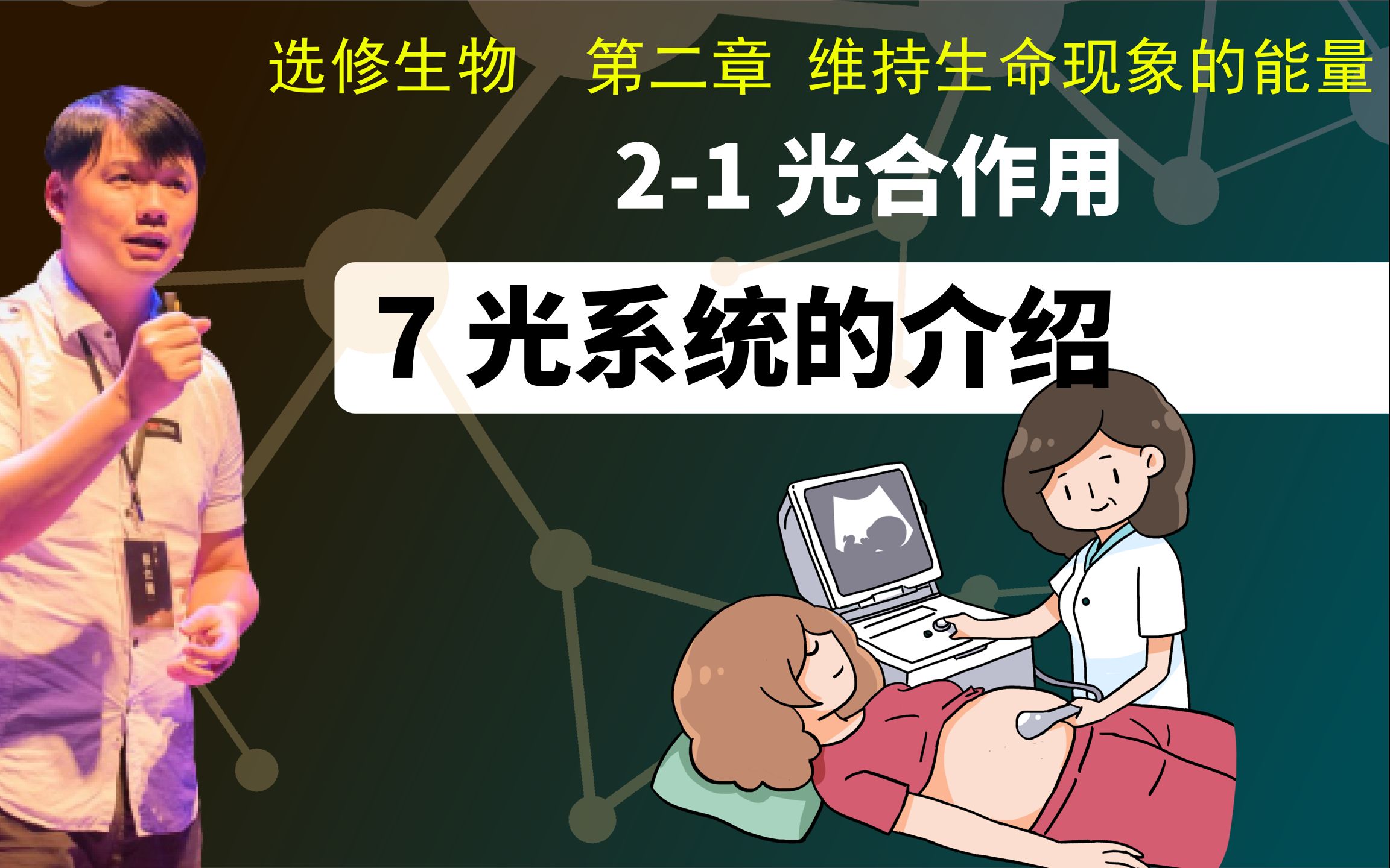 选修生物2-1.7 光系统的介绍