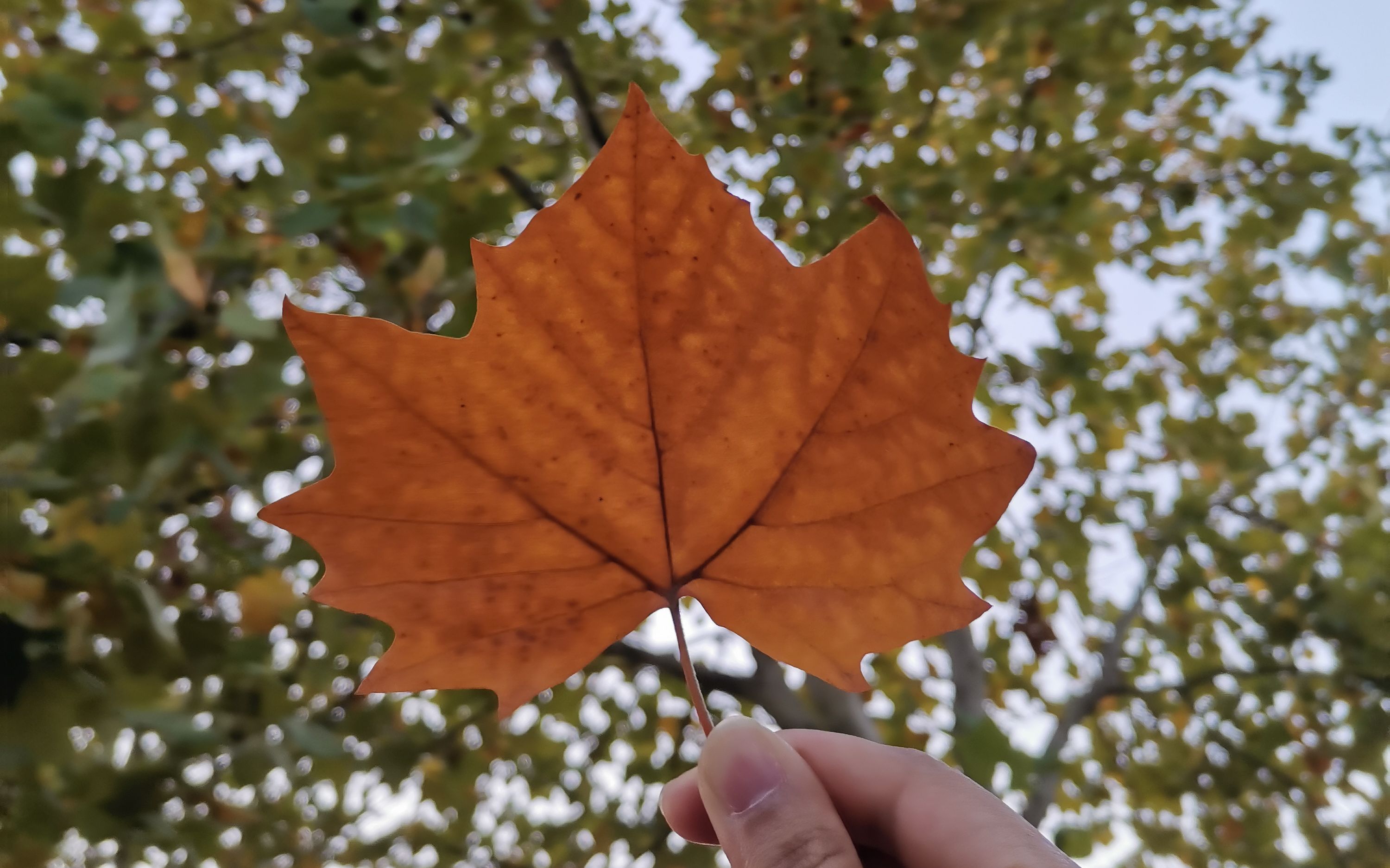 山东师范大学公共管理学院2020招生宣传