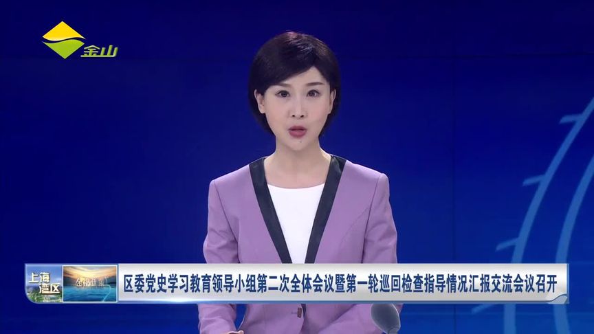 区委党史学习教育领导小组第二次全体会议暨第一轮巡回检查指导情况...