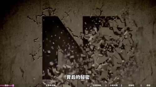 NP是什么意思啊