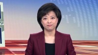 ...建设更高水平开放型经济新体制推动能耗双控逐步转向碳排放双控