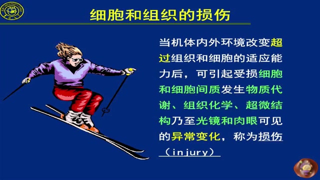 03.细胞和组织的损伤-1