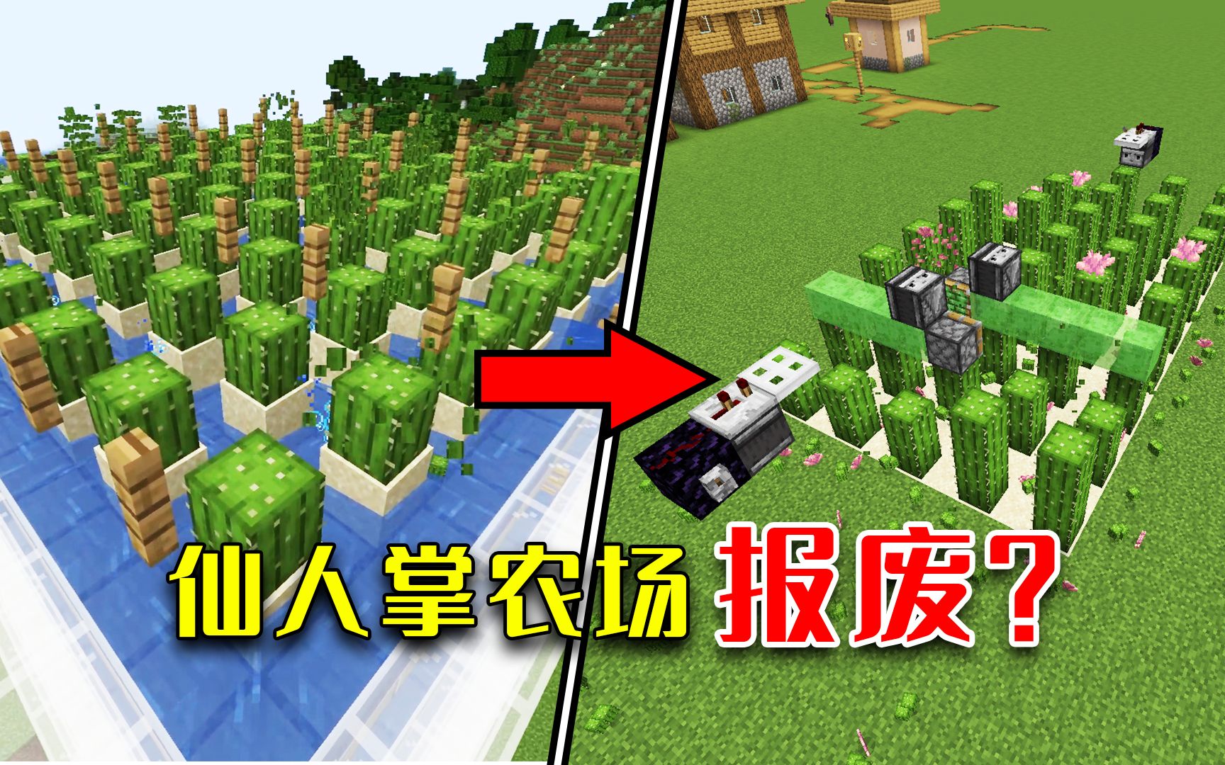 我的世界:一觉睡醒懵圈了,仙人掌农场报废?假的!_游戏热门视频