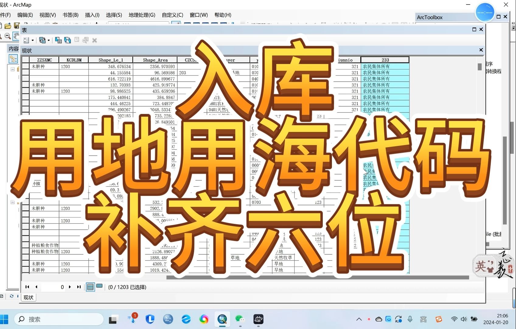 【Arcgis之国土空间规划实践】零基础操作-21公式自动补齐代码,不同...
