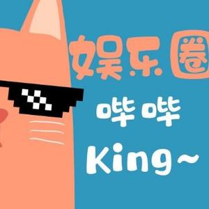 娱乐圈哔哔king 