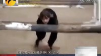 女孩模仿马匹跨栏 动作有模有样