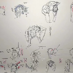 属实是实在界创伤了 