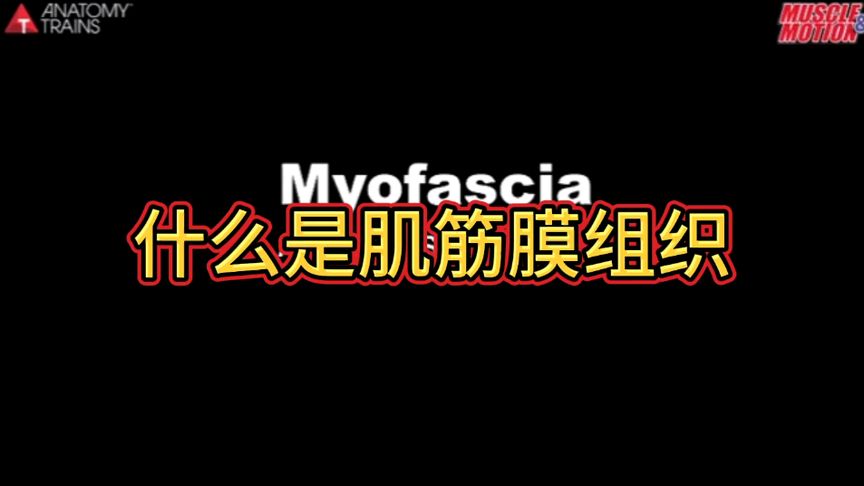 【3D动画课堂】关于肌筋膜组织的科普,大家了解一下