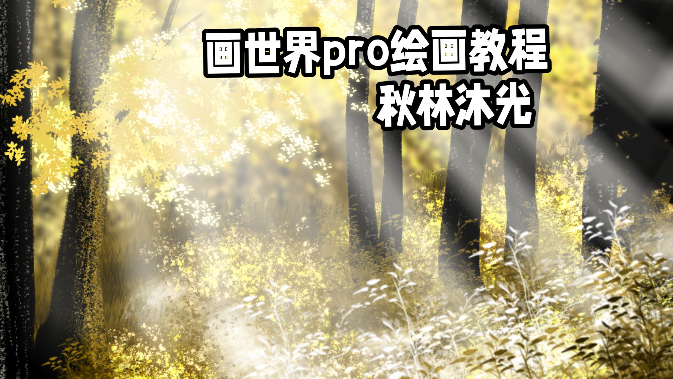 画世界Pro新手绘画教程 ‖ 树林沐光