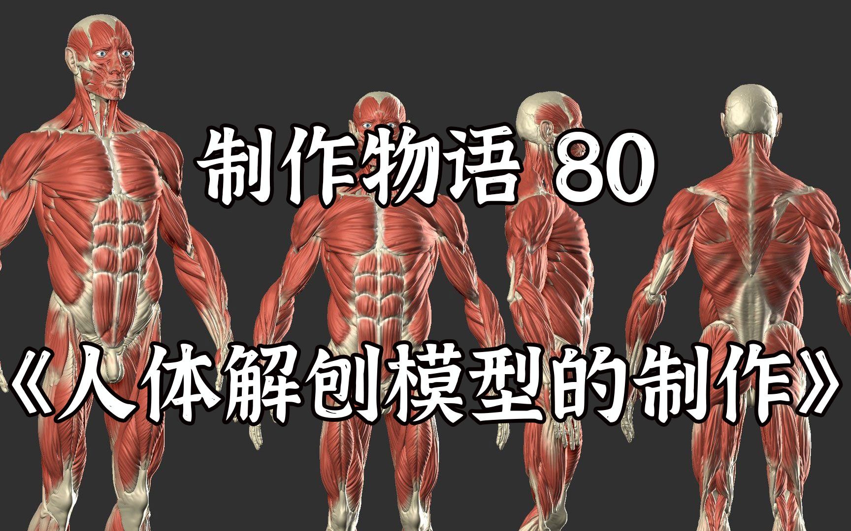 人体的构造和运行机制你了解么?带你看看人体解刨模型是怎么制作