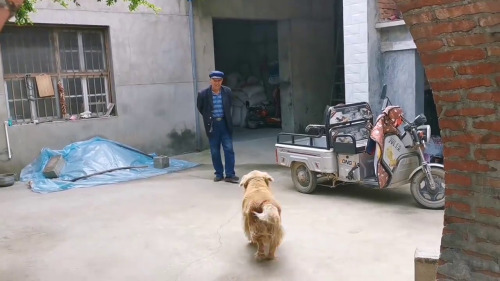 侄子教76岁大爷去银行取养老钱,老人如果能学会,将实现财务自由