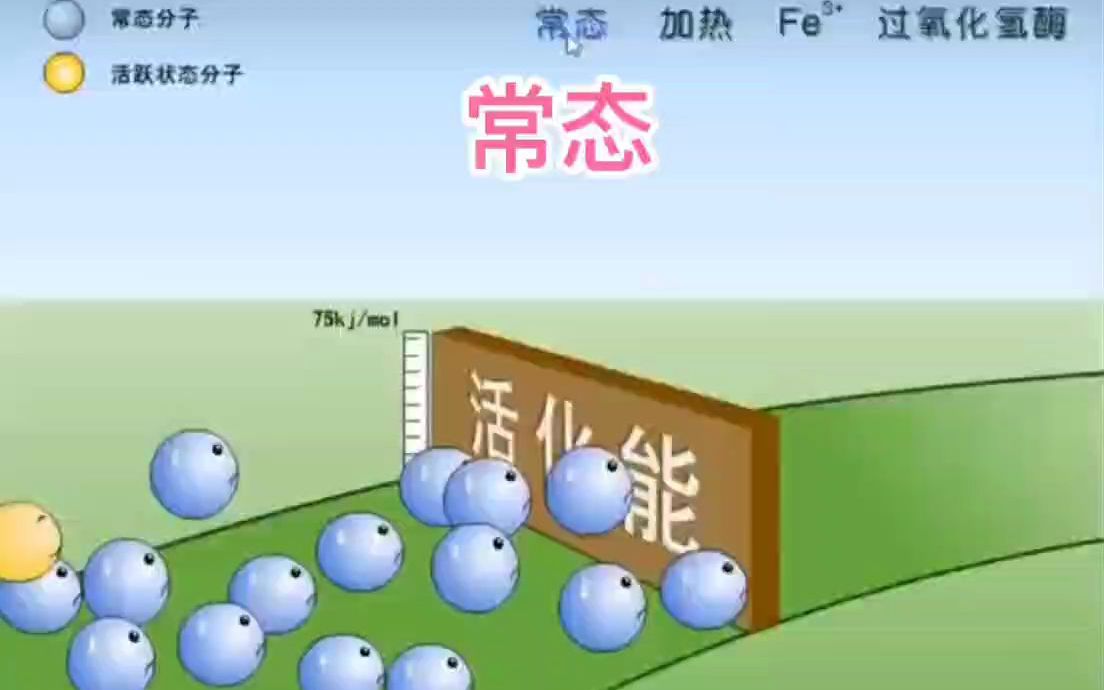 动画展示 比较过氧化氢在不同条件下的分解——酶的高效性