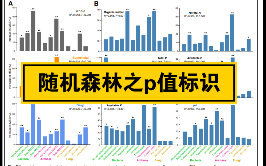 R语言保姆级教程/随机森林(3)/p值的添加