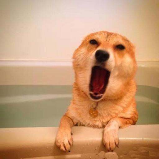 小千墨好物分享 