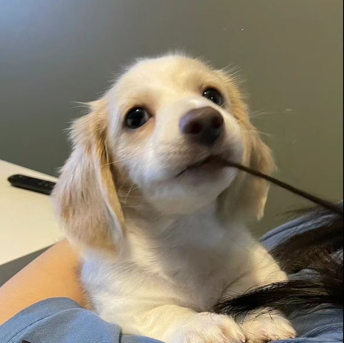 老公在日本的扒皮卡拉 