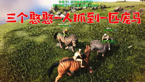 方舟生存进化:跟暗墨去抓庞马,没想到多米感染狂犬病被打死