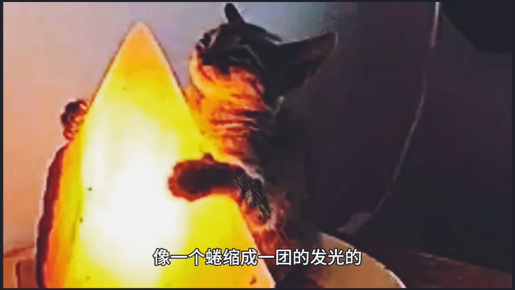 行踪诡秘的球形闪电