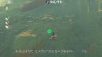 Switch《塞尔达传说荒野之息》高阶小技巧操作入门详解