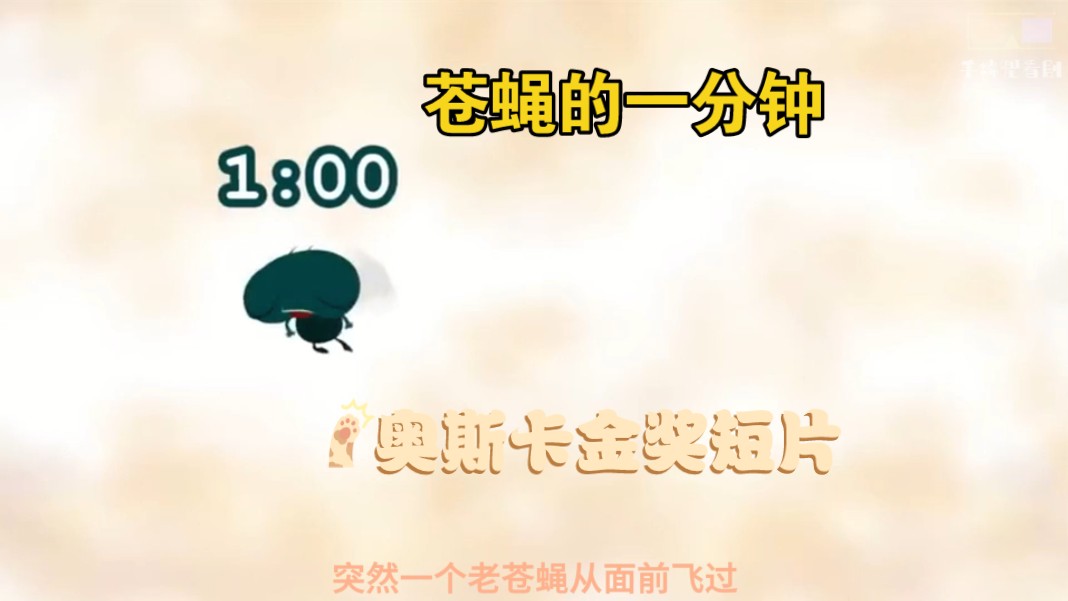 奥斯卡金奖短片,苍蝇的一分钟