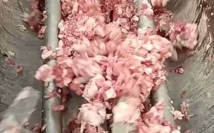 肉馅搅拌机 双绞龙拌馅机