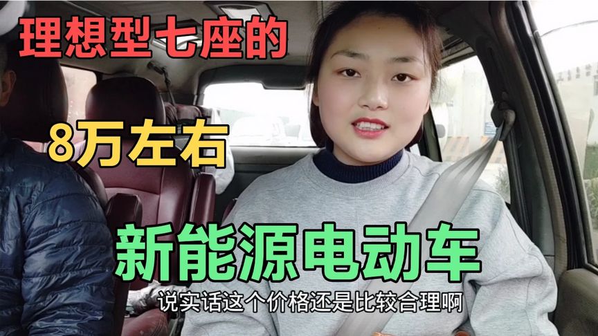 想买新能源电动车拉货賺钱,理想型是电动7座8万左右,这款不错!