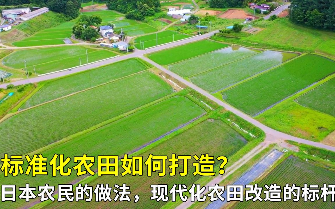 标准化农田如何打造?看看日本农民的做法,现代化农田改造的标杆