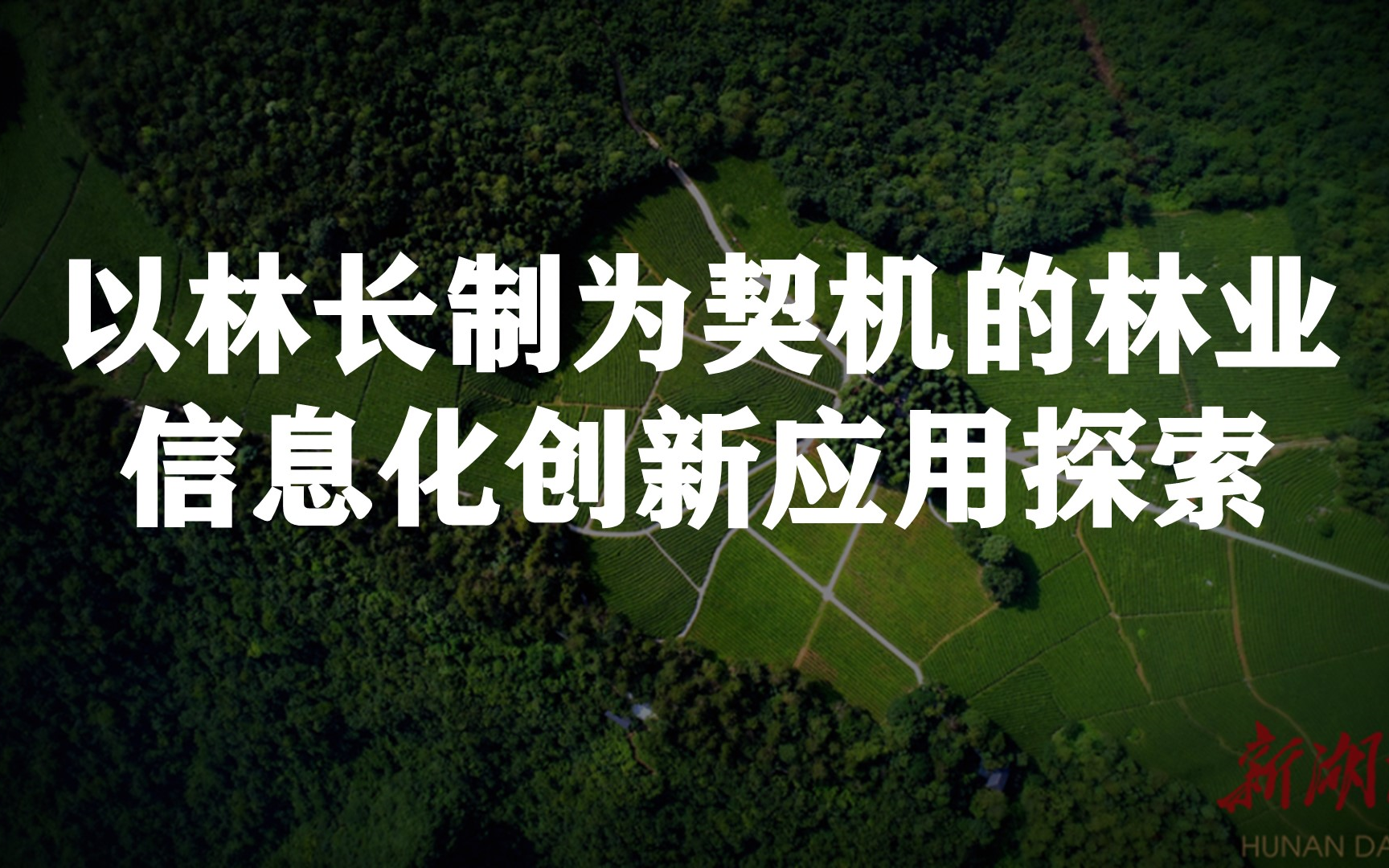 【林草智慧监管】以林长制为契机的林业信息化创新应用探索