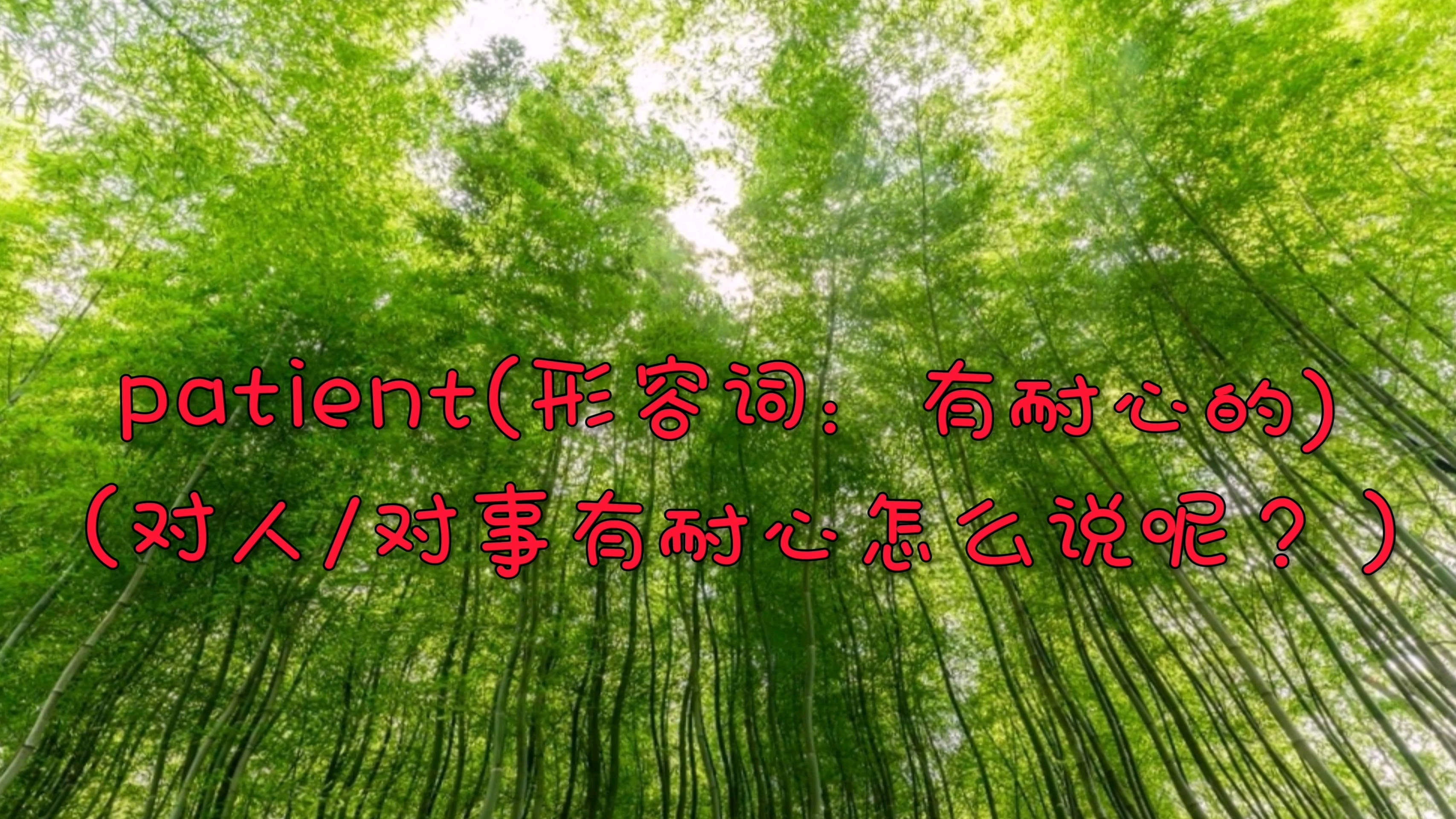 patient(形容词:有耐心的)(对人/对事有耐心怎么说呢?)