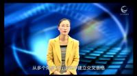 EXCEL2010系列微课——数据透视表