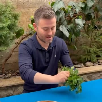 一家三口蜗游记 