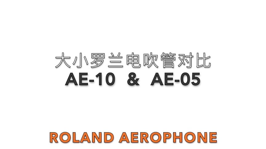 安颐爸爸说电吹管RolandAerophone AE10对比AE05—1