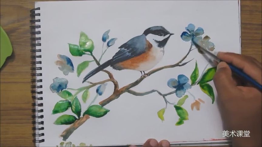 水彩画一只鸟的简单画法 适合美术初学者