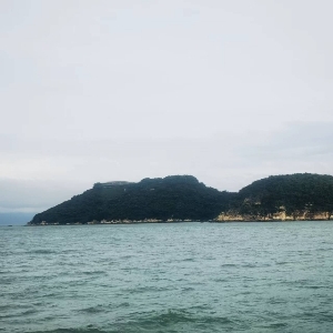 仰望你高飞的背影 