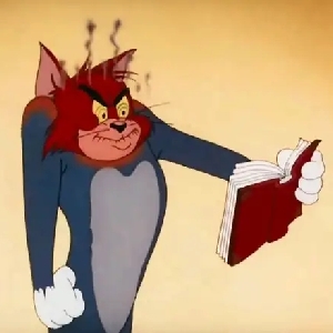愤怒の汤姆猫 