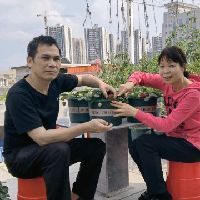 三妹夫妇的楼顶菜园