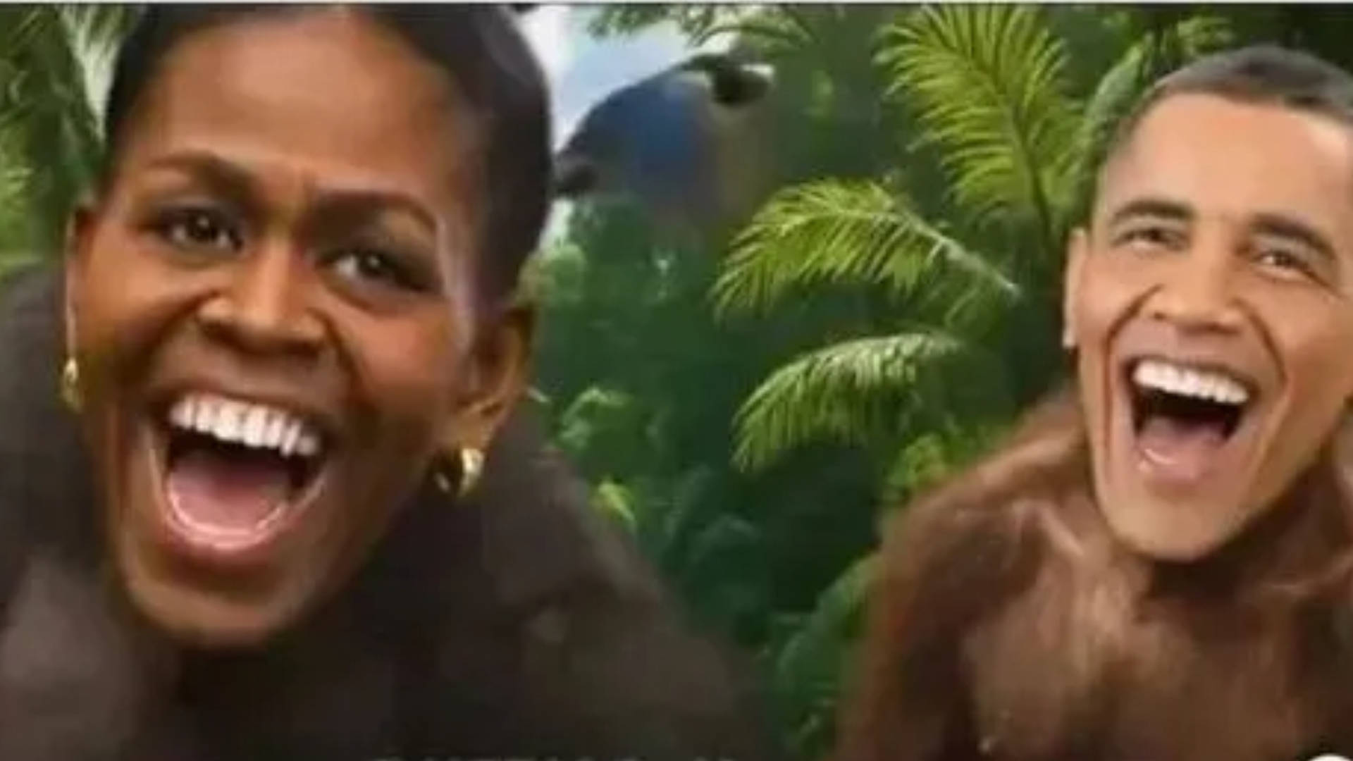 把奥巴马夫妇P成猴子?!特朗普拒绝道歉:我没错,我没看完