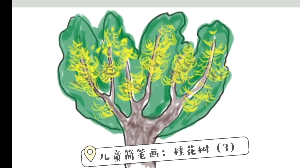 儿童简笔画:桂花树(3)