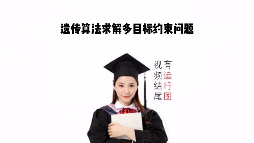 遗传算法求解多目标约束问题