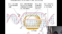 黄赟微课视频《DNA分子的转录》