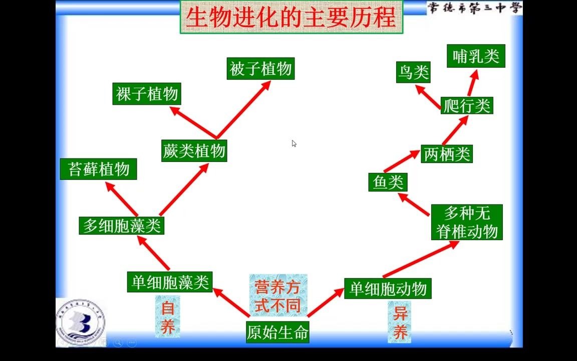 初二生物--生物进化的主要历程