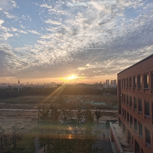 努力学习的菲力 