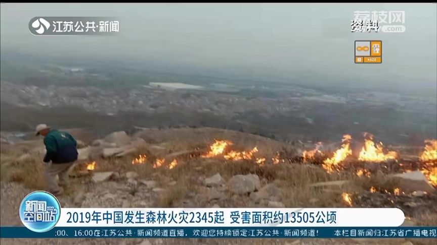 2019年中国共发生森林火灾2345起,受害面积约13505公顷!