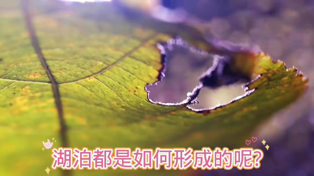 湖泊都是如何形成的?